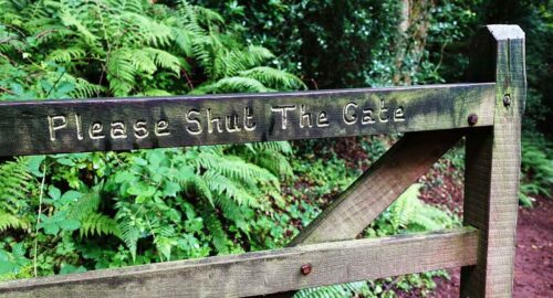 Do This! Come Here! How to Form The German Imperative – Emma Loves German